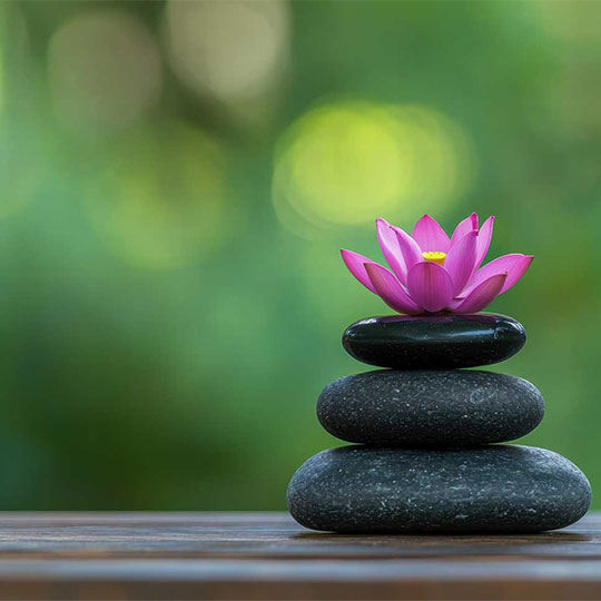 Foldr in Education - Kyocera Group UK